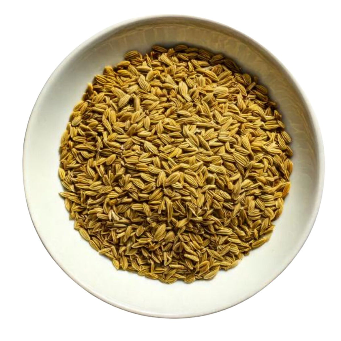 Fennel Seeds – Britnuts